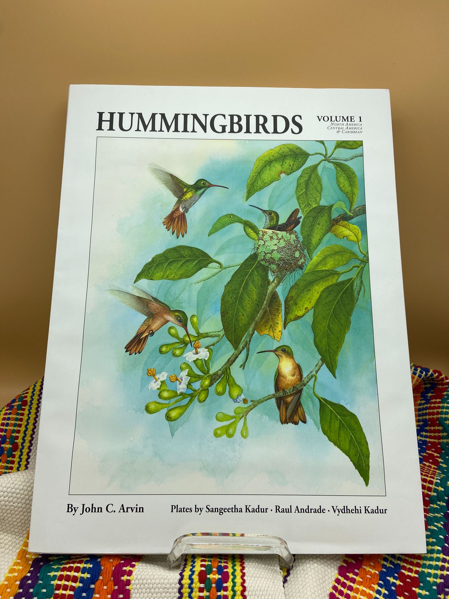 Hummingbirds: Volume 1